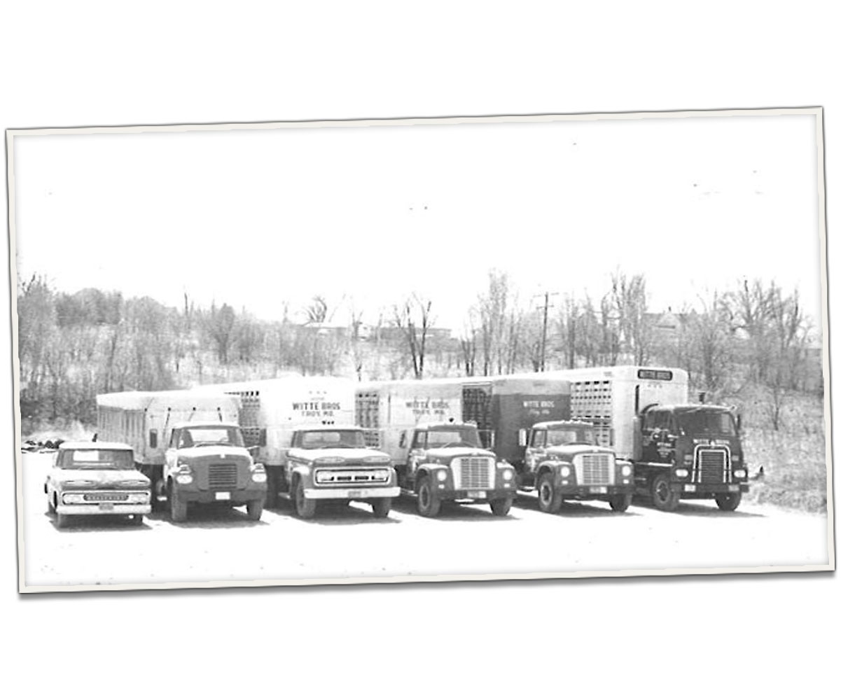About Us | Witte Bros. Truck Driving School